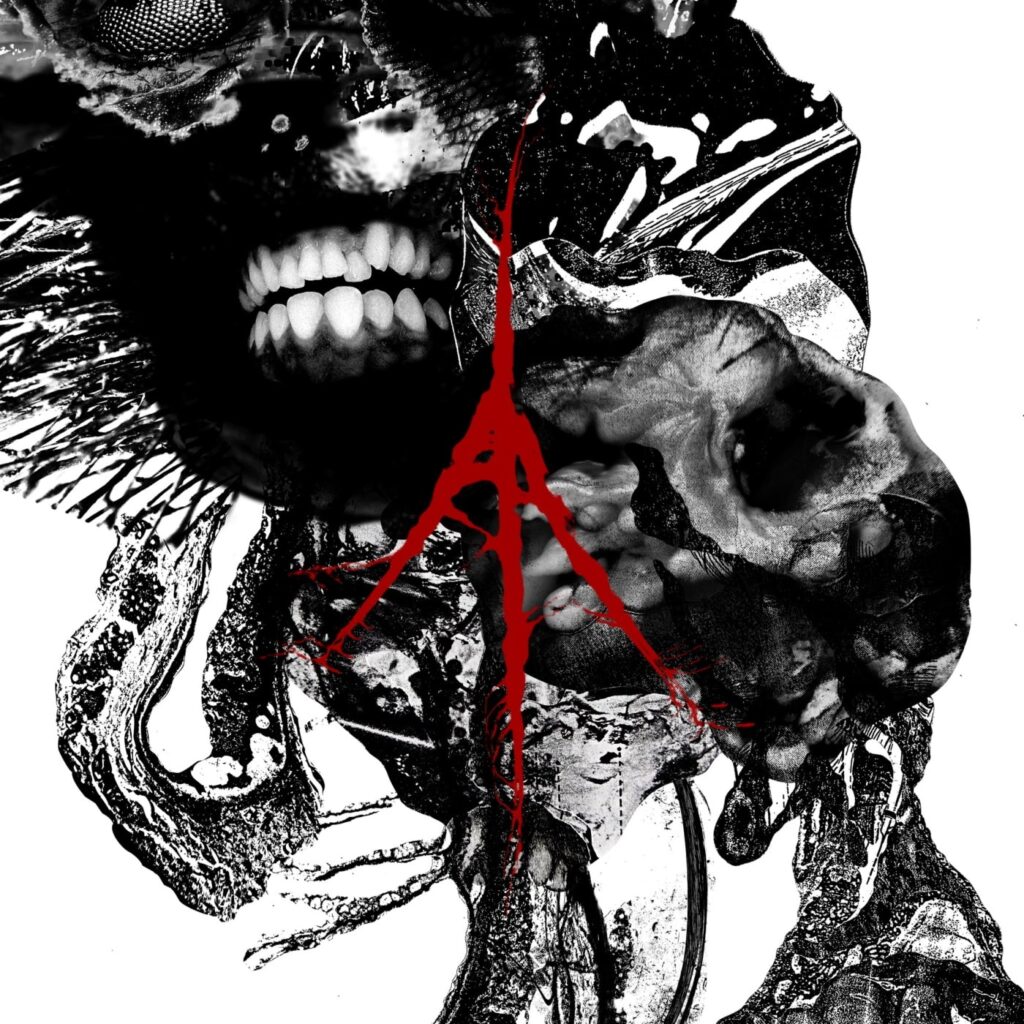 Colombia grinding chaotic hardcore band MICO breaks down new fierce ...